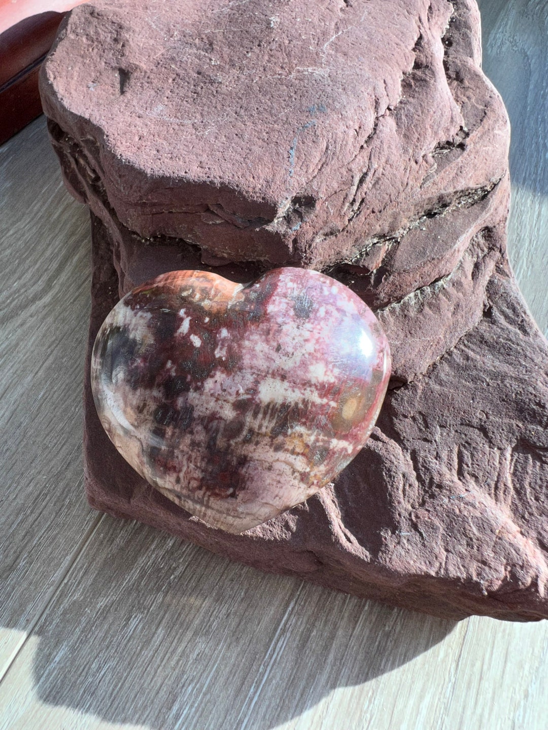 XL Petrified Wood Heart – Fossilized Stone, Healing Crystal Decor - Etsy