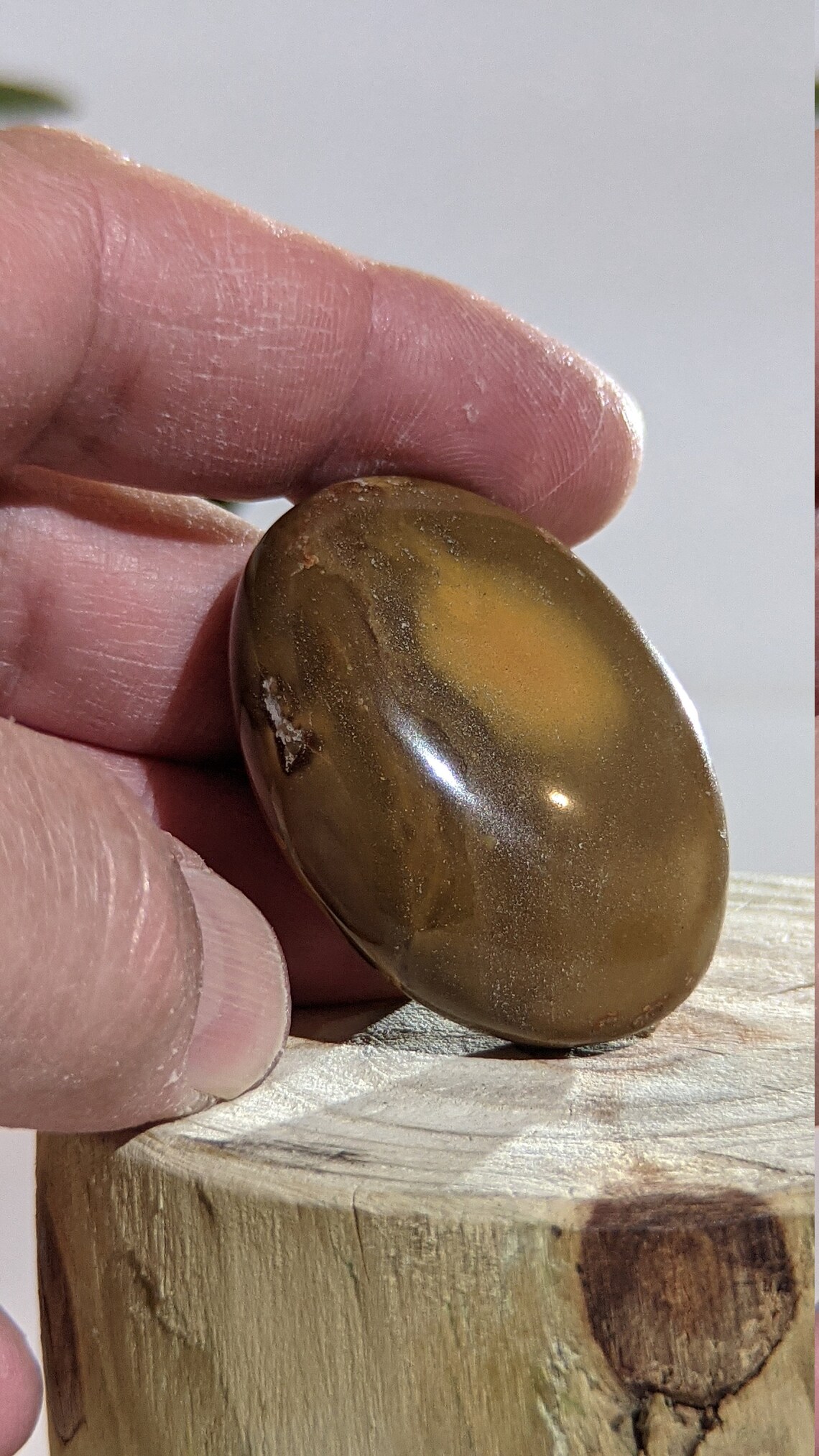 Polychrome Desert Jasper Palm Stone Green Maroon Yellow | Etsy