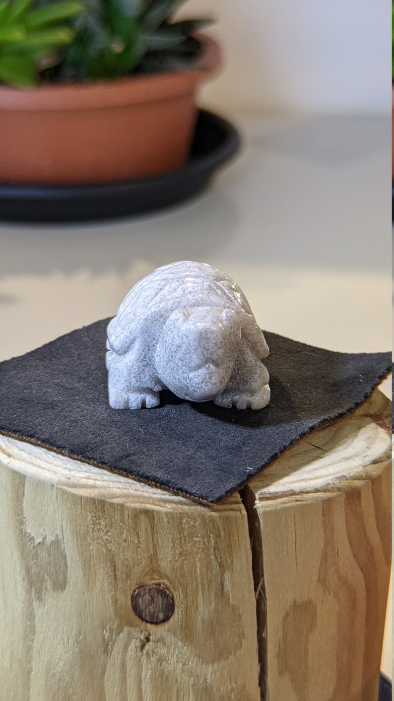 Granite Stone Carved Turtle Tan Beige Powerful Protection Abundance ...