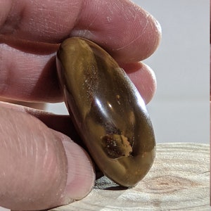 Polychrome Desert Jasper Palm Stone Green Maroon Yellow Passion ...