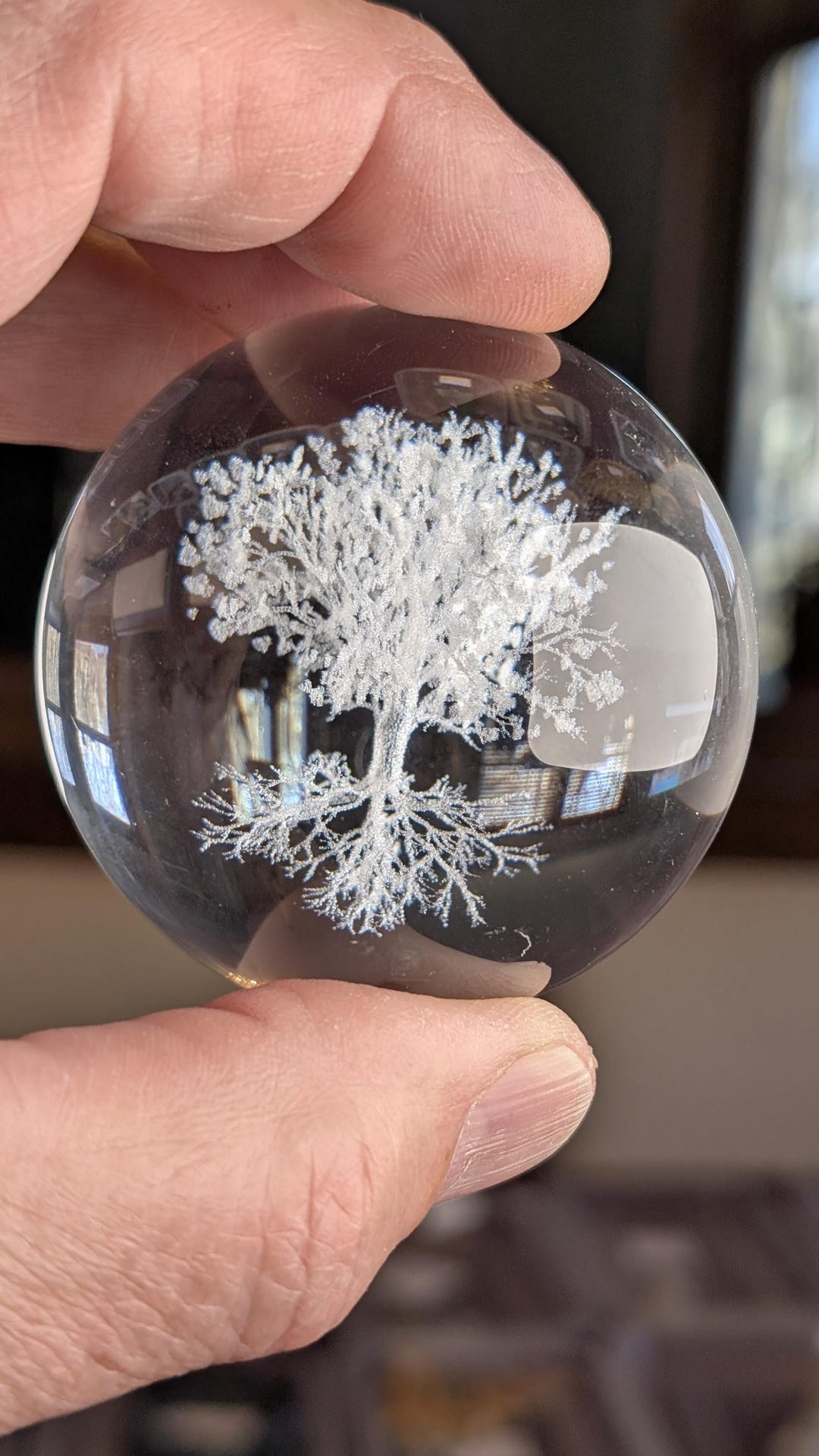 Glass Sphere Ball Engraved Tree of Life Roots Floating OF161 - Etsy