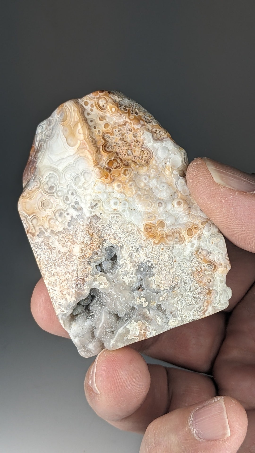 Laguna Crazy Lace Tan Cream Agate Slab Slice Specimen Unusual Patterns ...