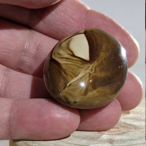 Polychrome Desert Jasper Palm Stone Green Maroon Yellow Passion ...