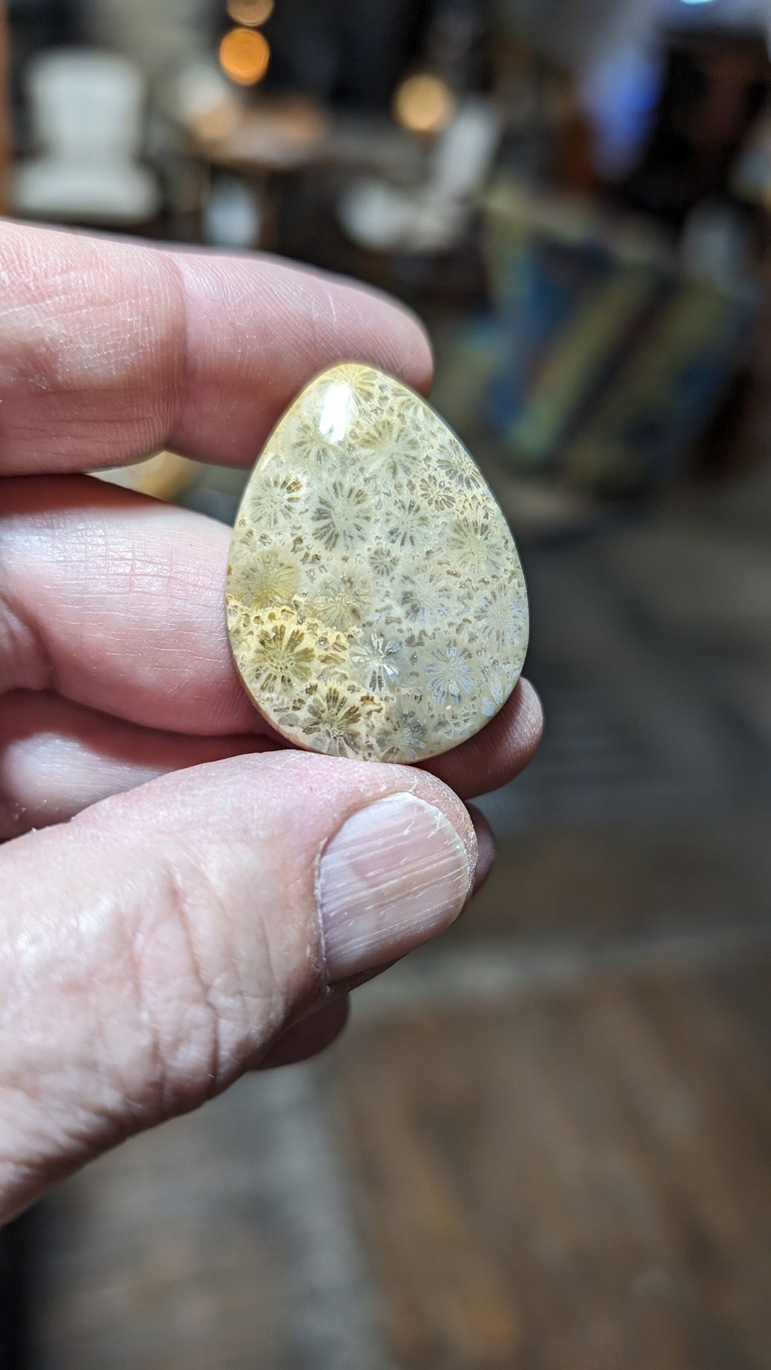 Coral Jade Jasper Stone Carved Palm Cabochon Fossilized Who24a91 - Etsy