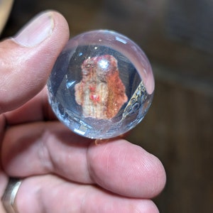 Small Cinnabar in Acrylic Sphere Money Wealth Abundance Transformation ...
