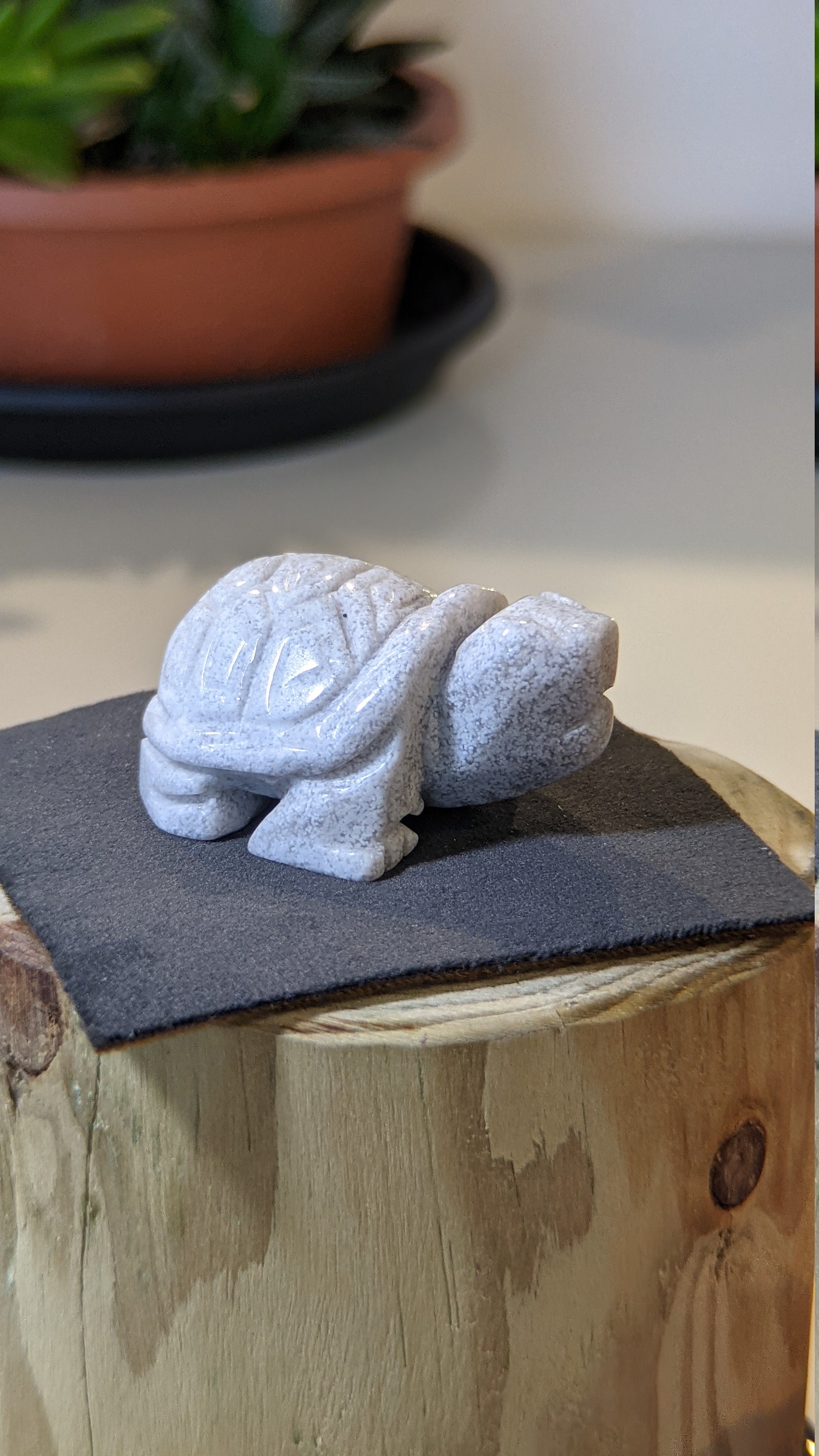 Granite Stone Carved Turtle Tan Beige Powerful Protection Abundance ...