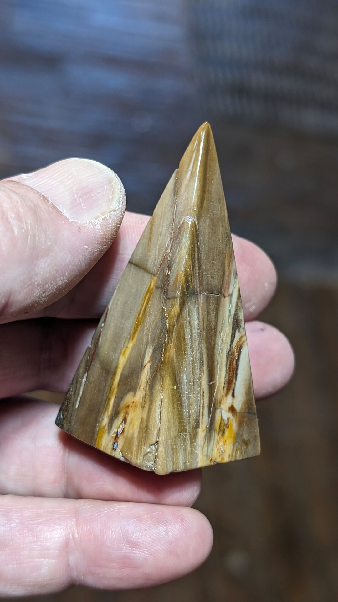 Petrified Wood Triangle Point Beige Tan Crystal Pyramid Triangle ...