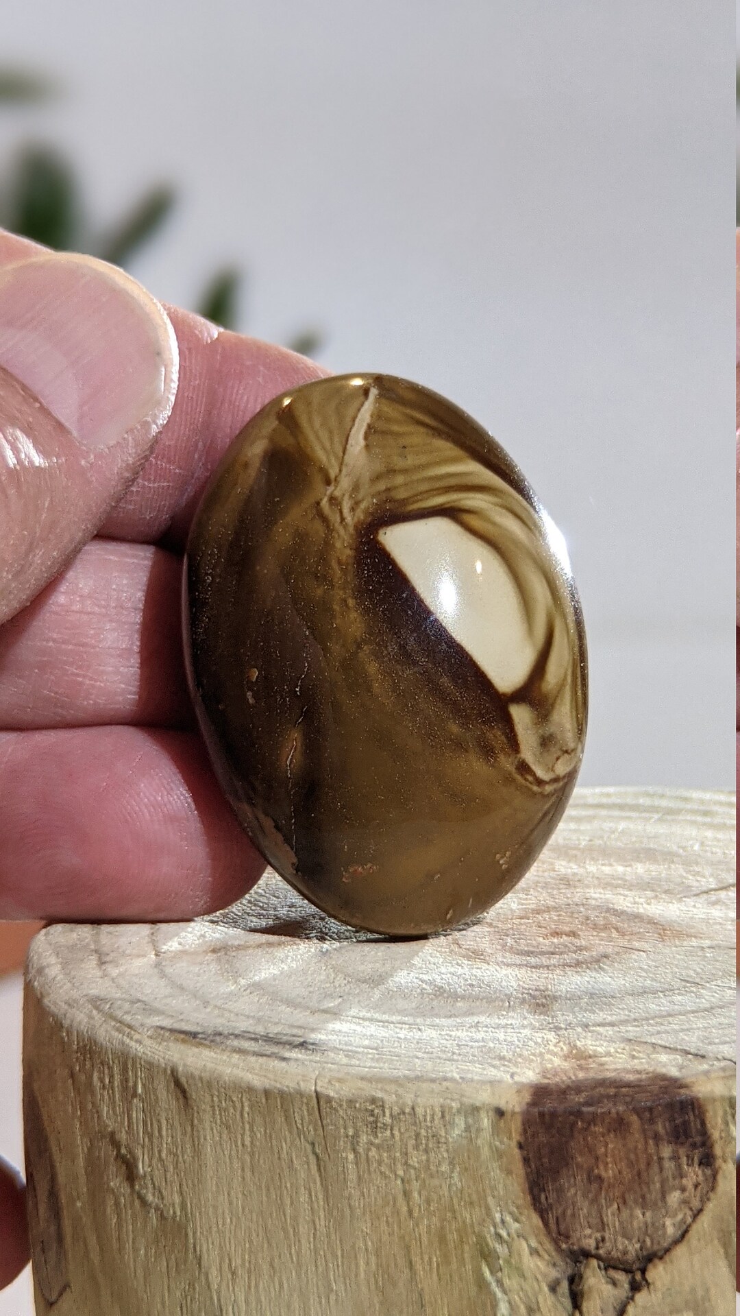 Polychrome Desert Jasper Palm Stone Green Maroon Yellow Passion ...