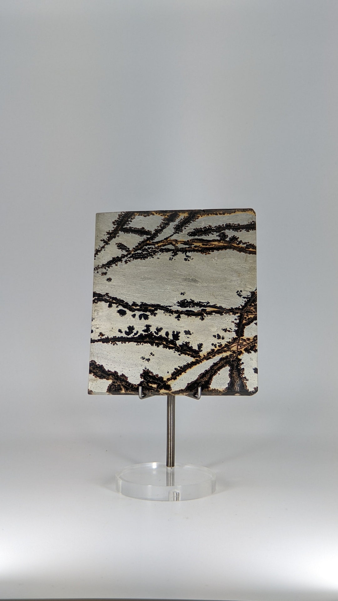Unique Stunning Picture Jasper Slab Rectangle Coaster Tile Love Vision ...