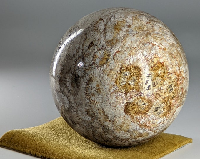 Large Coral Jade Jasper Stone Carved Sphere Fossilized PD36 - Etsy