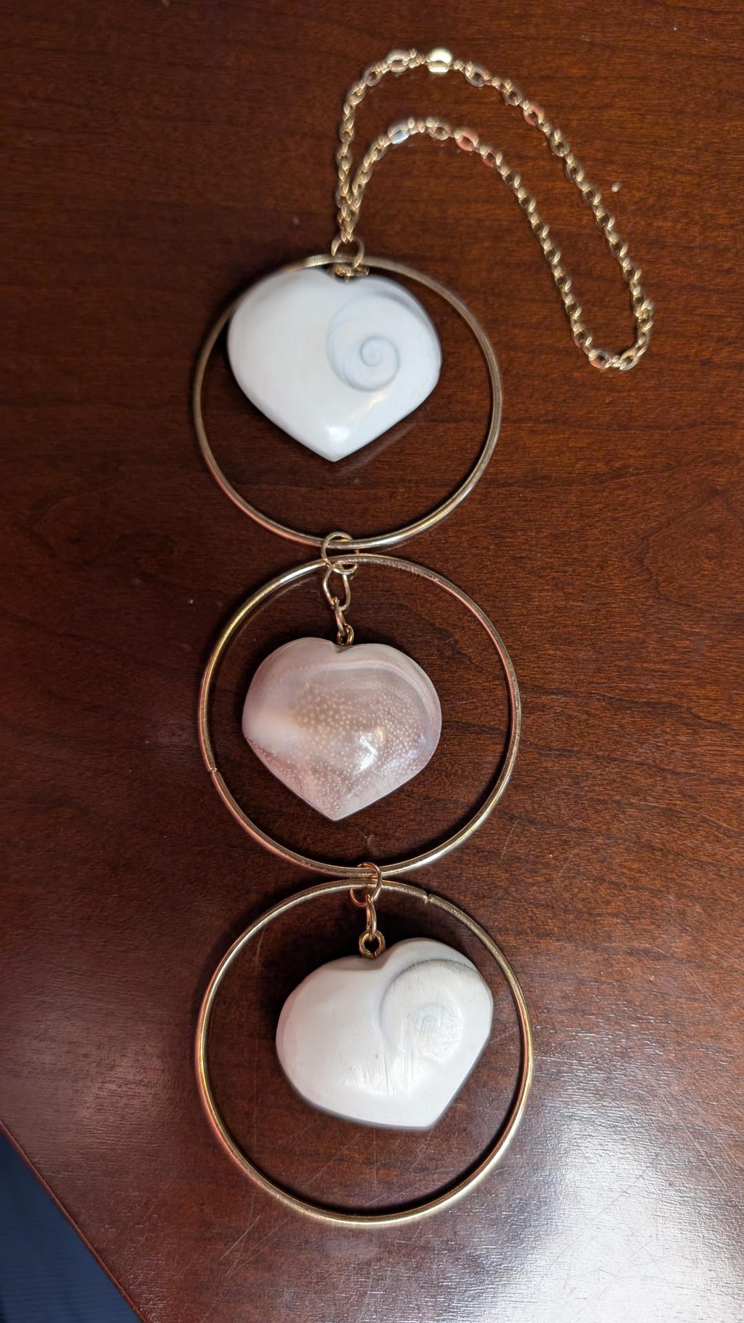 Sun Shiva Shell Circle Crystal Sun Catcher Mineral Specimen Collection ...