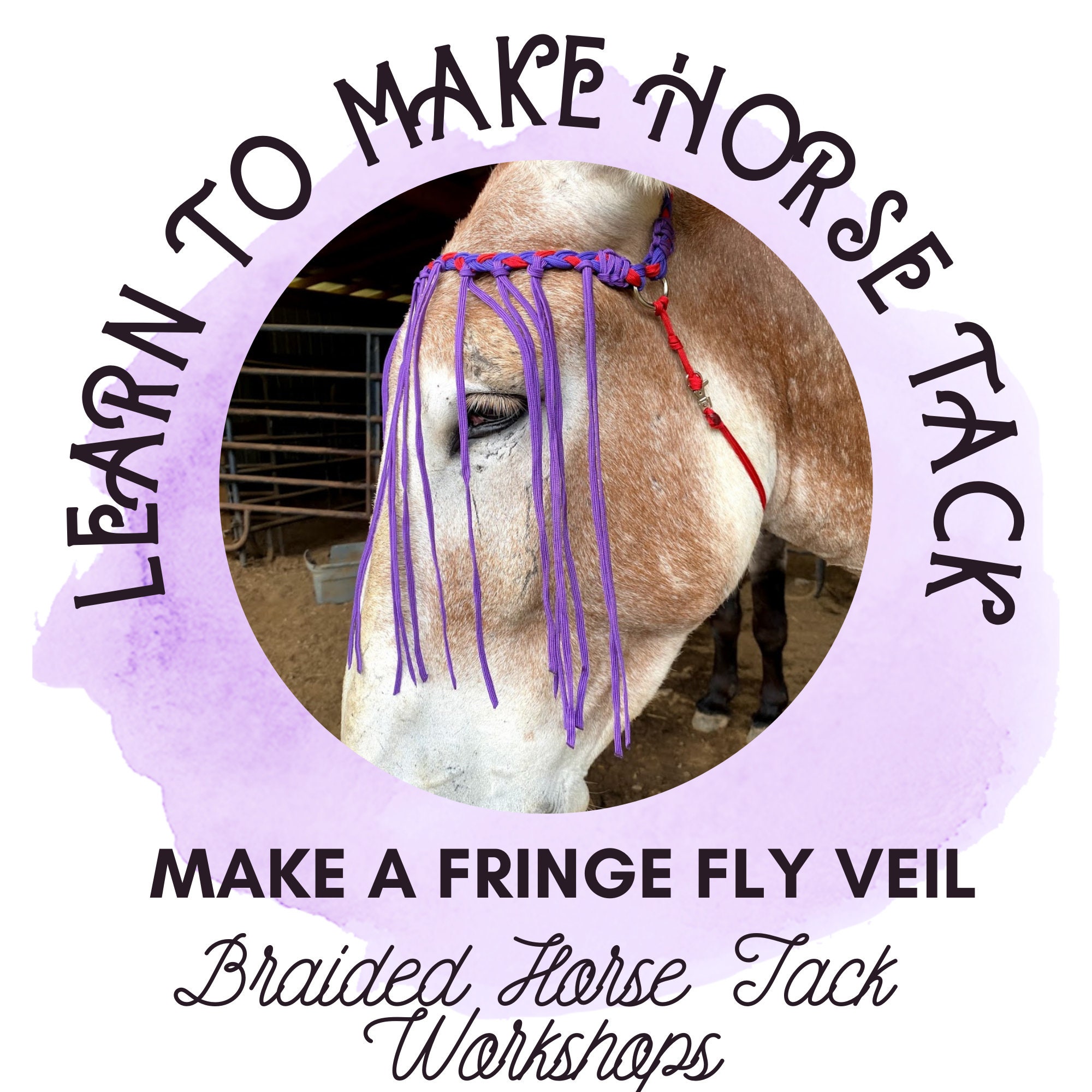 Make a Horse Fly Veil for ANY Size Equine! Fringed Horse Fly Mask DIY ...