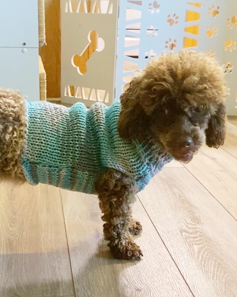 Knit Dog Sweater for Bulky Knitting Machine! EASY VIDEO TUTORIAL With ...