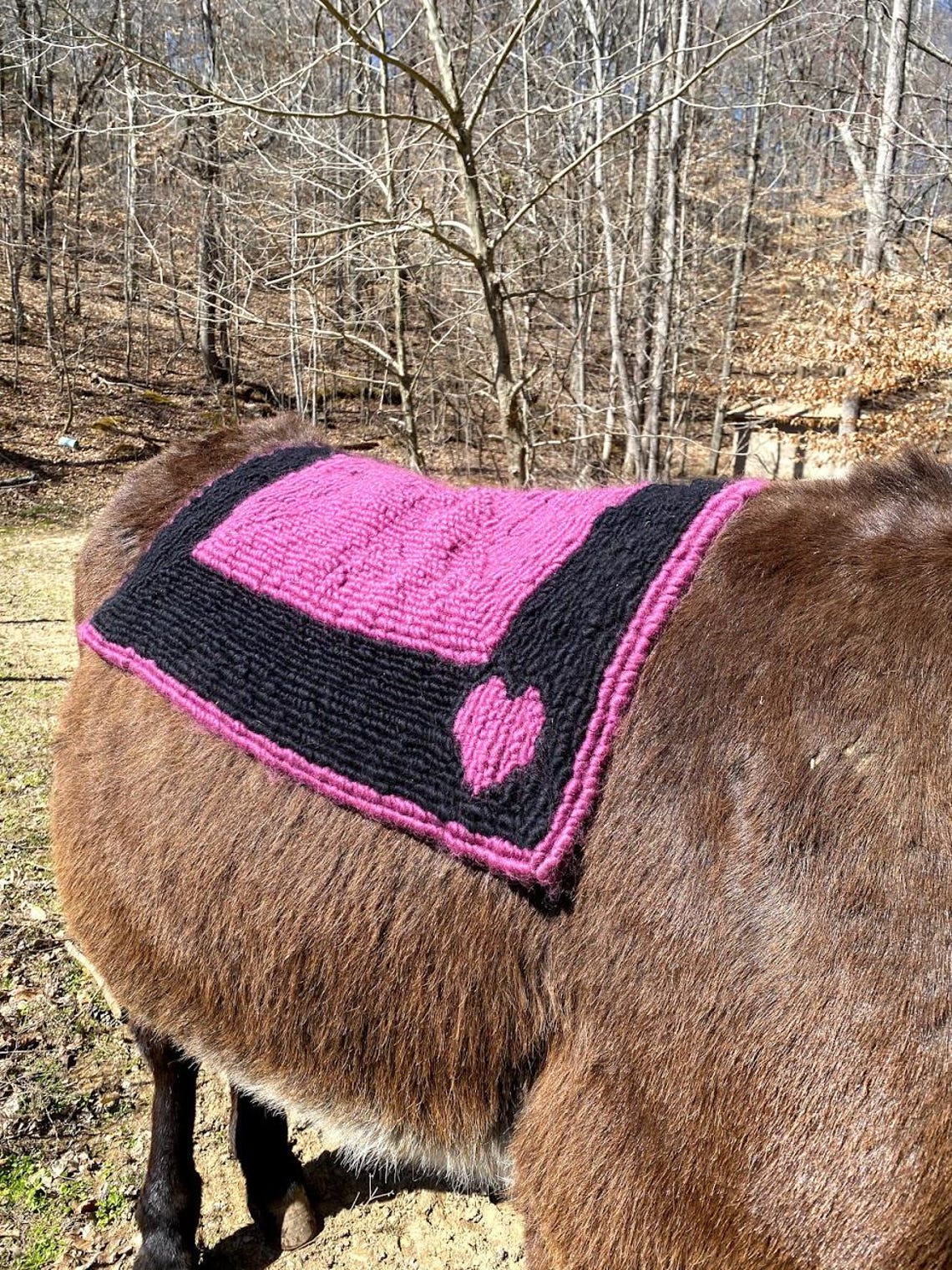 How to Make a Pulled Wool Saddle Pad! Video Tutorials, Where to Get ...
