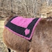 How to Make a Pulled Wool Saddle Pad! Video Tutorials, Where to Get ...