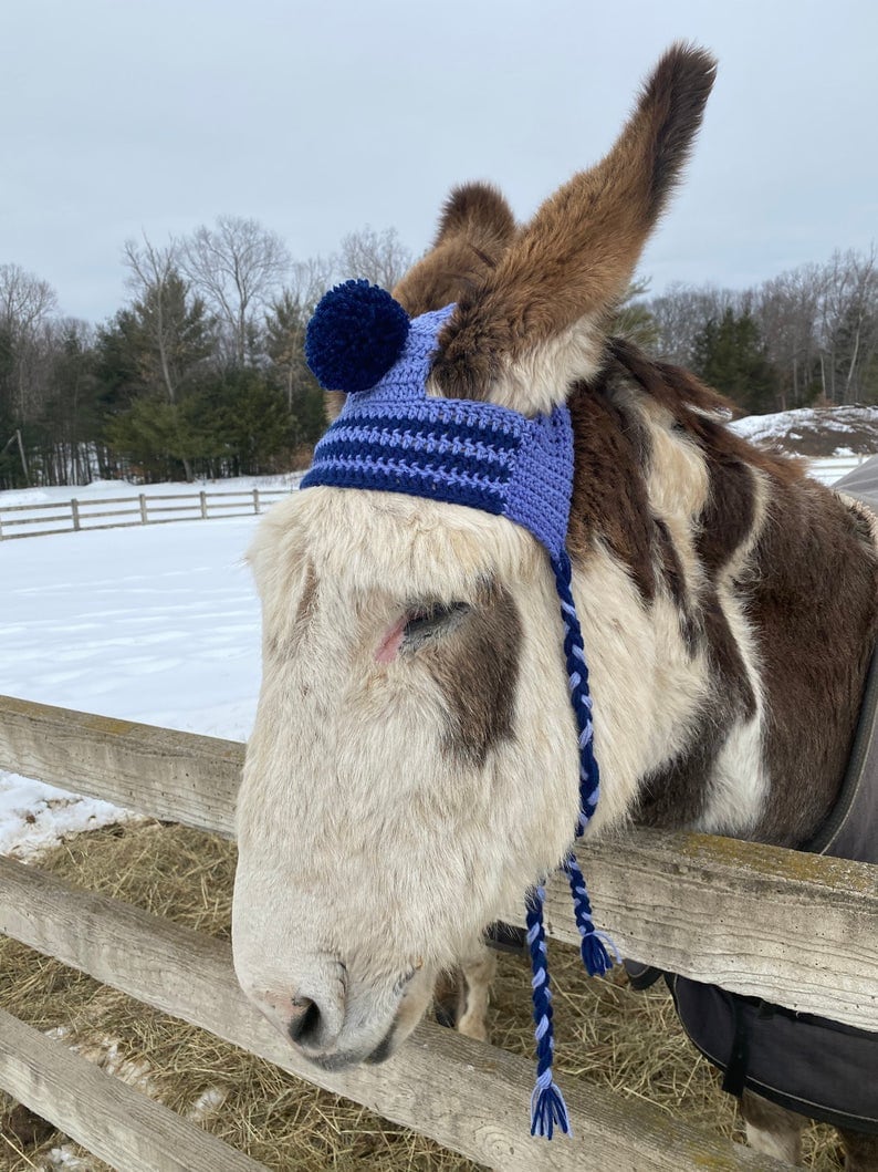 CUTE Donkey Hat Crochet Pattern and Video Tutorial! Beginner Crochet ...