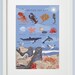 Sea Life Poster Ocean Life Print Wildlife Illustration - Etsy