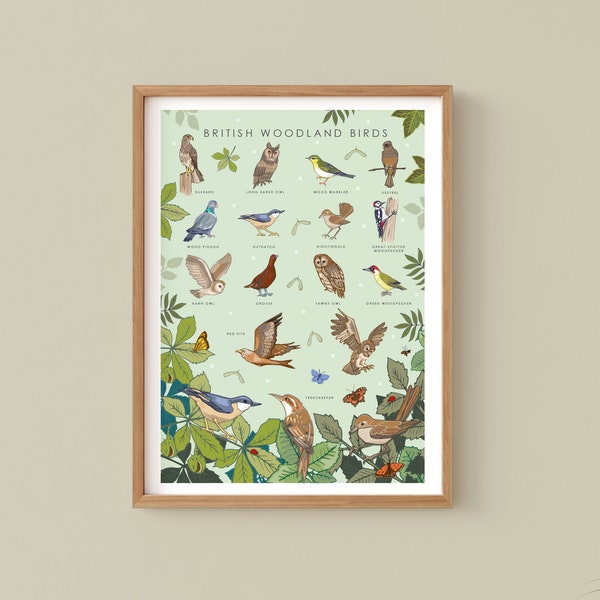 British Birds Poster - Etsy UK