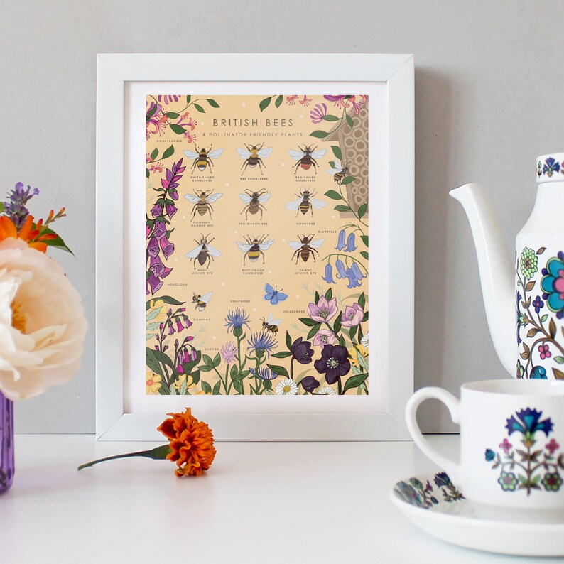 Bees Poster Bumble Bees and Pollinator Friendly Wildflowers - Etsy