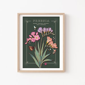 Freesia Wall Art Print, Flower Meaning Illustration Print - Etsy