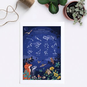 Zodiac Constellations Print, Nocturnal Animals and Astrology Guide Wall ...