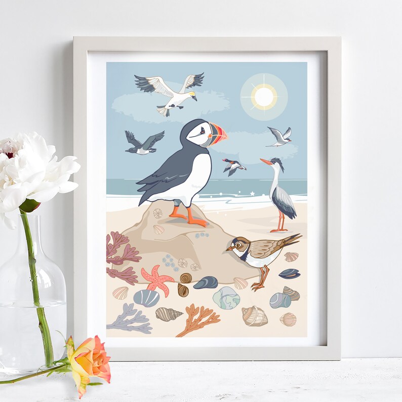 Puffin and Seabirds Wall Art Print, Coastal Birds Illustration Print - Etsy