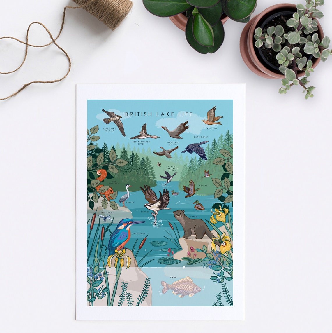 Lake Life Wall Art Print Nature Poster of British Lake | Etsy