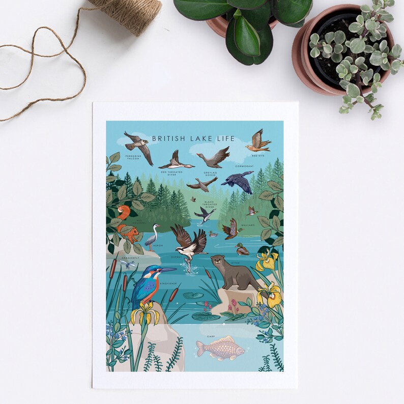 Lake Life Wall Art Print Nature Poster of British Lake | Etsy