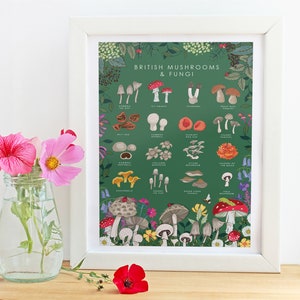 Mushrooms and Fungi Poster, Botanical Wall Art, Nature Guide Print ...