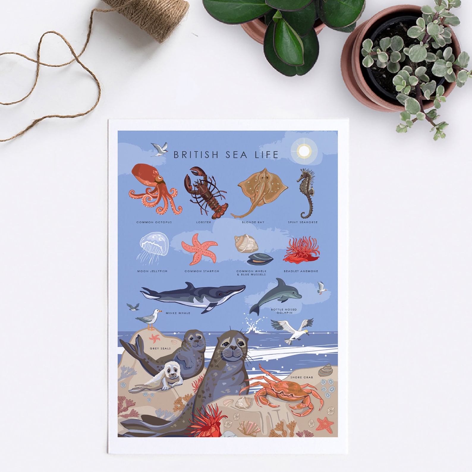 Sea Life Poster Ocean Life Print Wildlife Illustration | Etsy