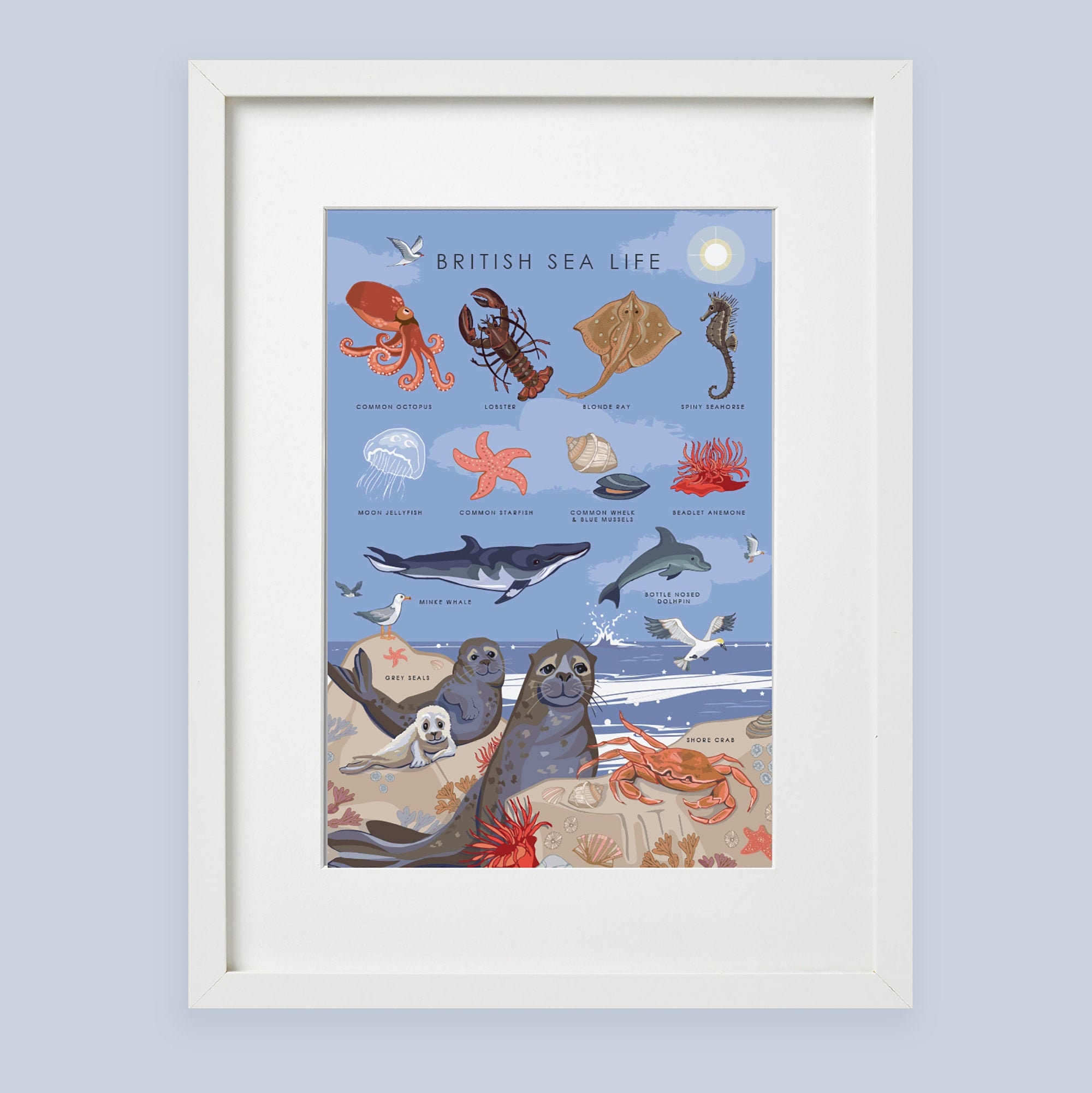 Sea Life Poster Ocean Life Print Wildlife Illustration - Etsy UK