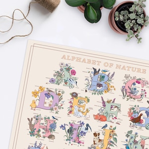 Alphabet Poster of Nature, Large A to Z of Wildlife Wall Art Print - Etsy