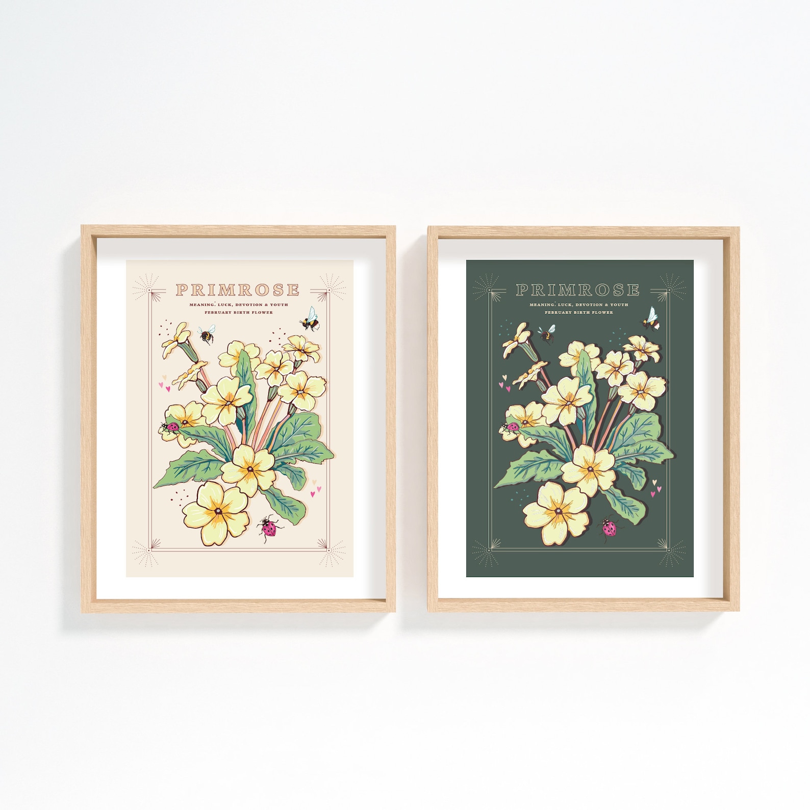 Primrose Wall Art Print February Birth Flower Illustration - Etsy
