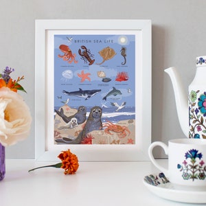 Sea Life Poster Ocean Life Print Wildlife Illustration - Etsy