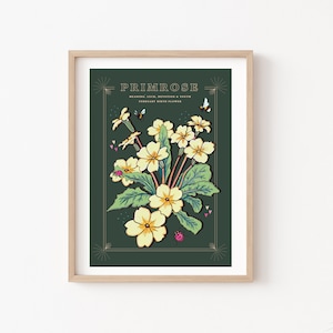Primrose Wall Art Print, February Birth Flower Illustration Print - Etsy