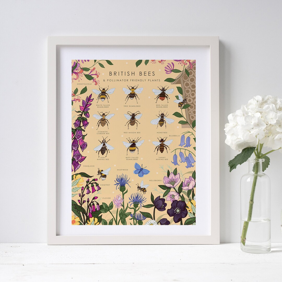 Bees Poster Bumble Bees and Pollinator Friendly Wildflowers - Etsy