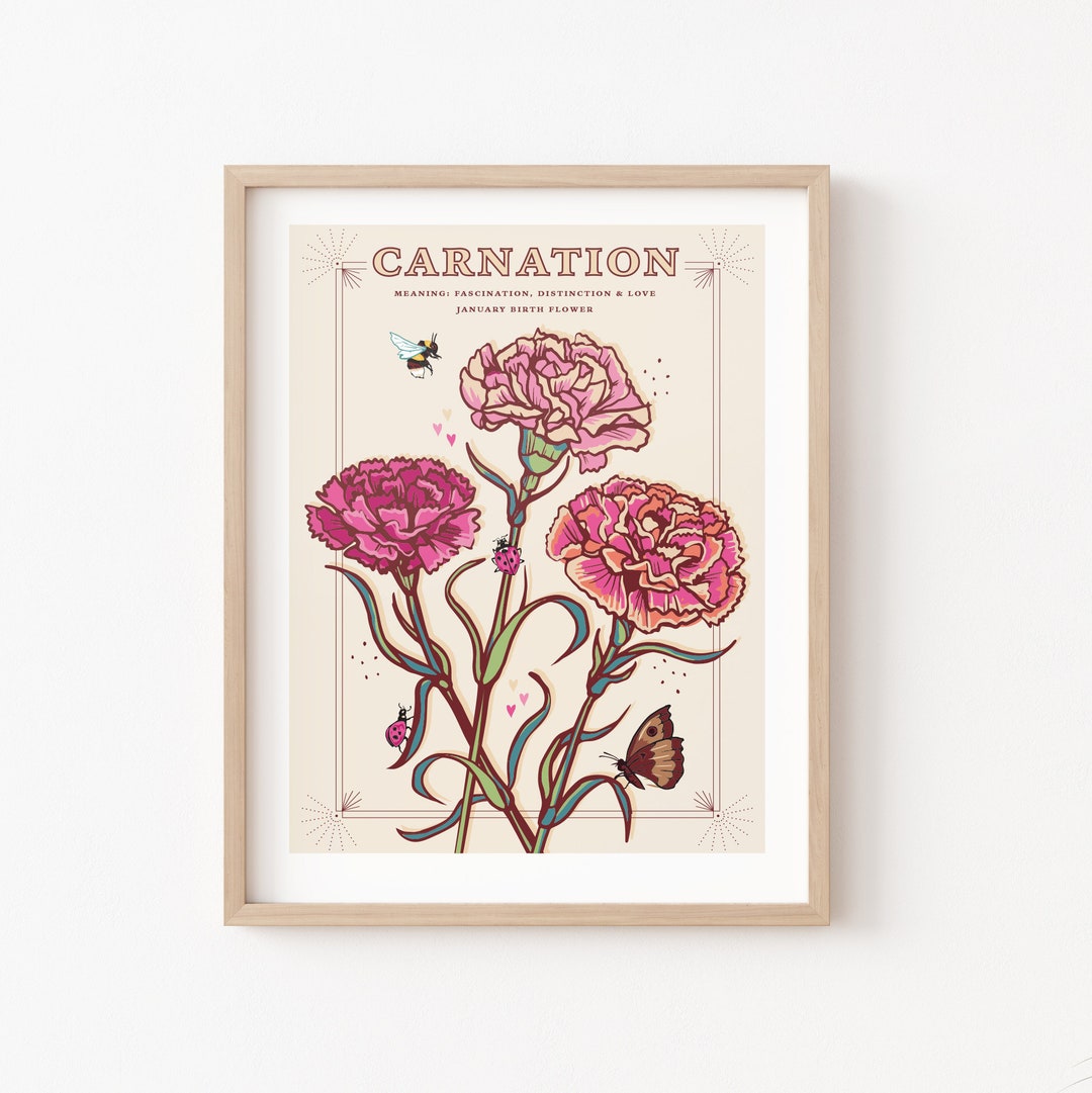 Carnations Wall Art Print, January Birth Flower Illustration Print - Etsy