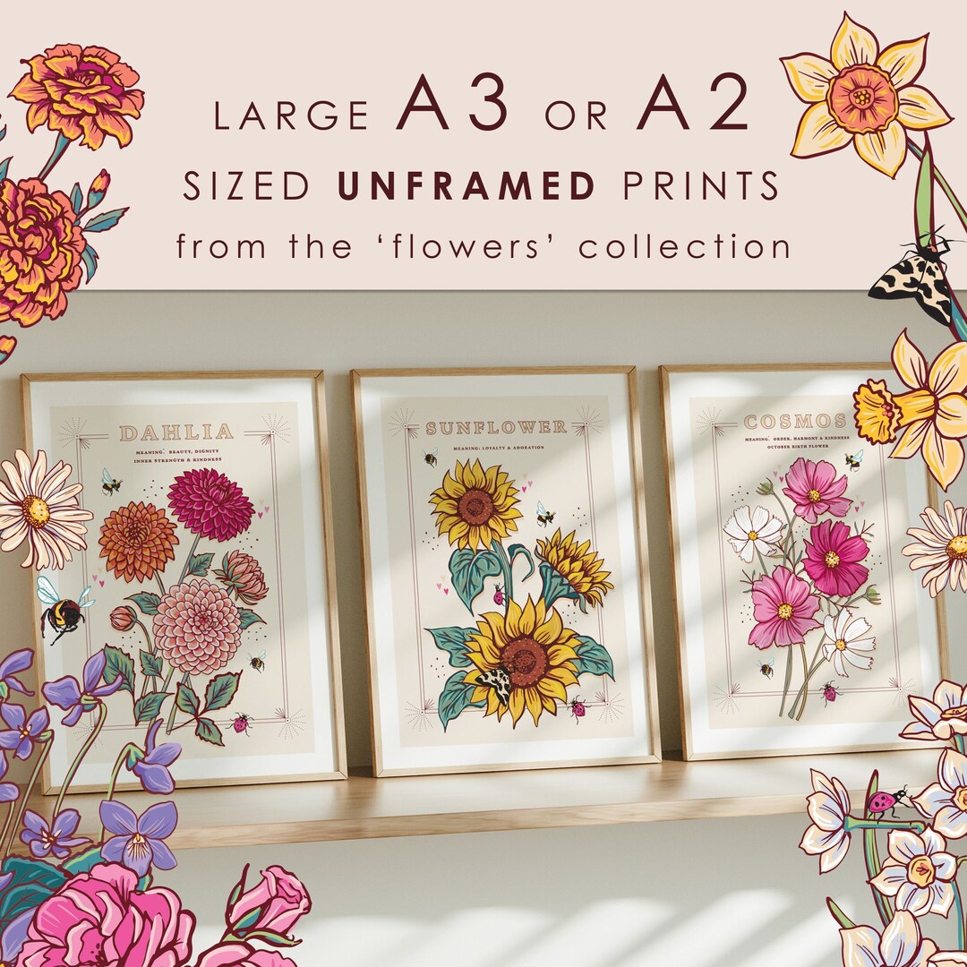 Large A3 and A2 Sized Unframed Prints From the 'meaning of Flowers ...