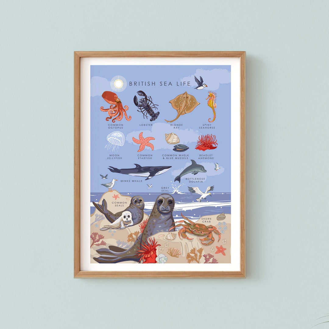 Sea Life Poster, Ocean Life Print, Wildlife Illustration, Nature Guide ...