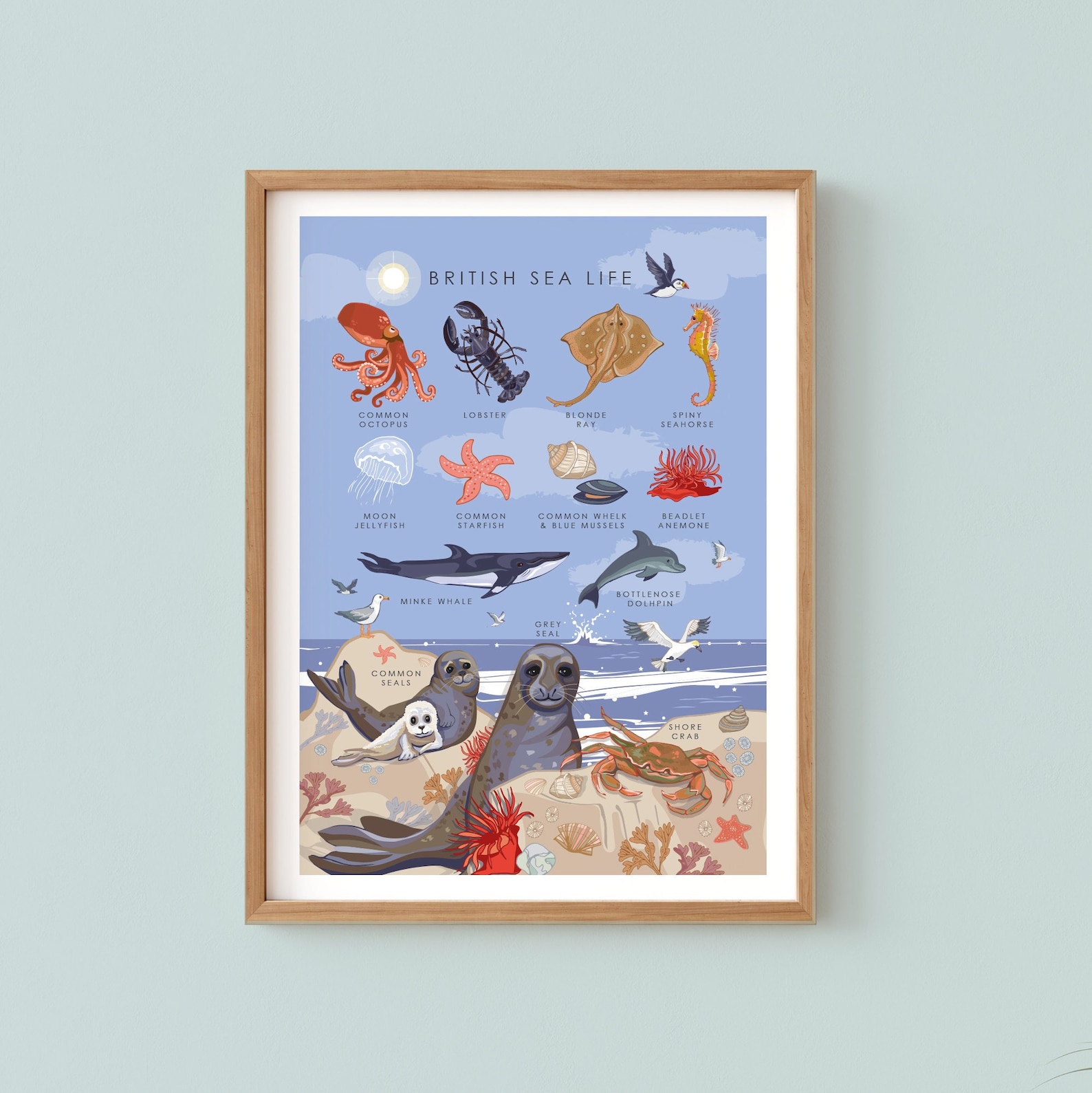 Sea Life Poster, Ocean Life Print, Wildlife Illustration, Nature Guide ...