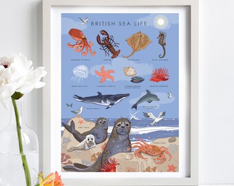 Sea Life Poster - Etsy