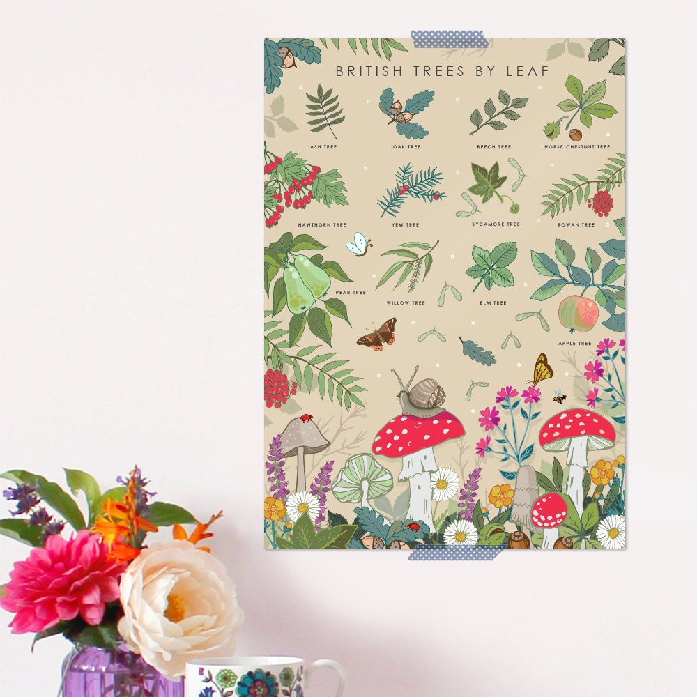 Toadstools & Leaves Print British Trees Nature Poster - Etsy UK
