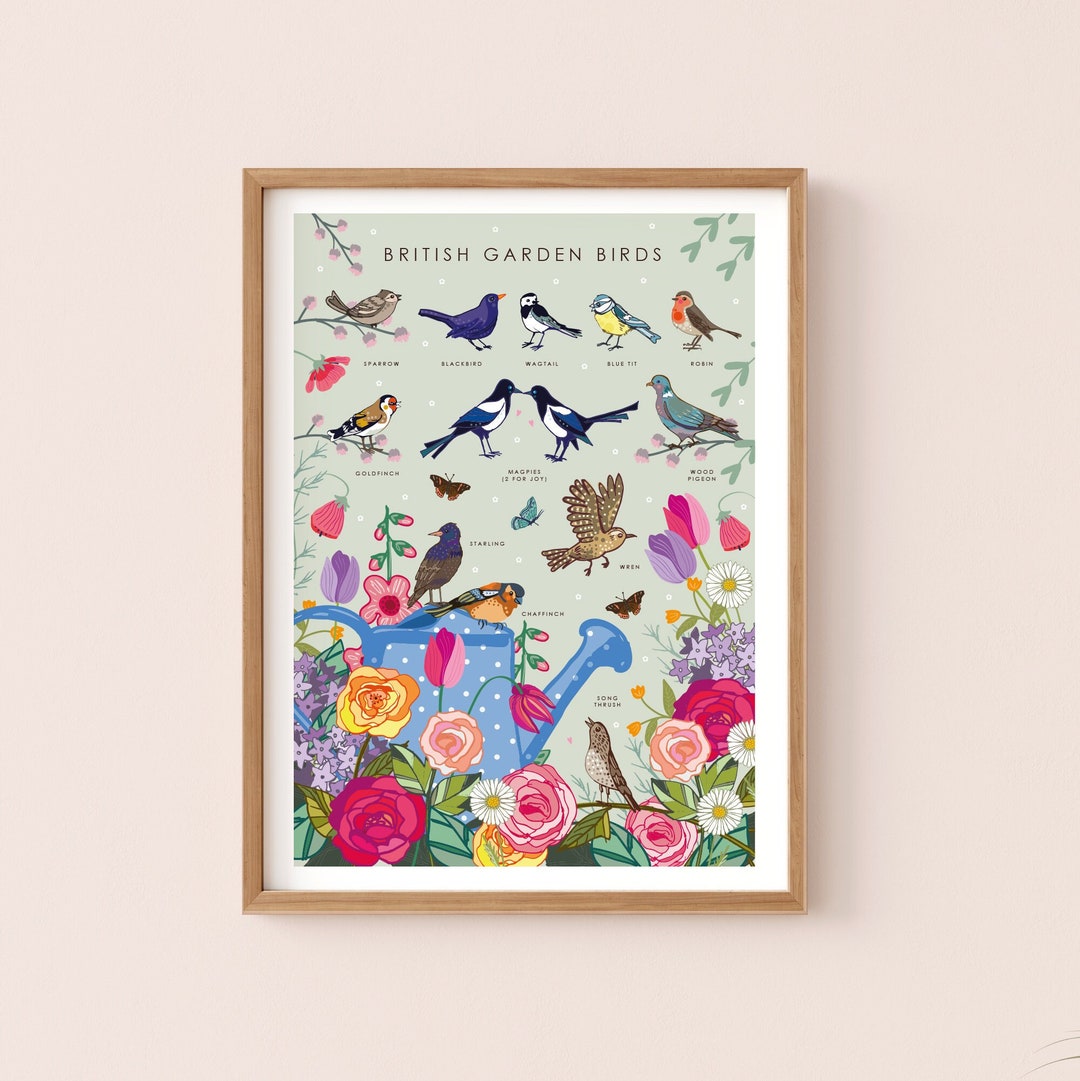 Garden Birds Wall Art Print, Nature Poster of British Birds - Etsy UK
