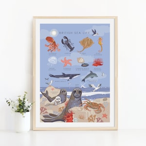 Sea Life Poster, Ocean Life Print, Wildlife Illustration, Nature Guide ...