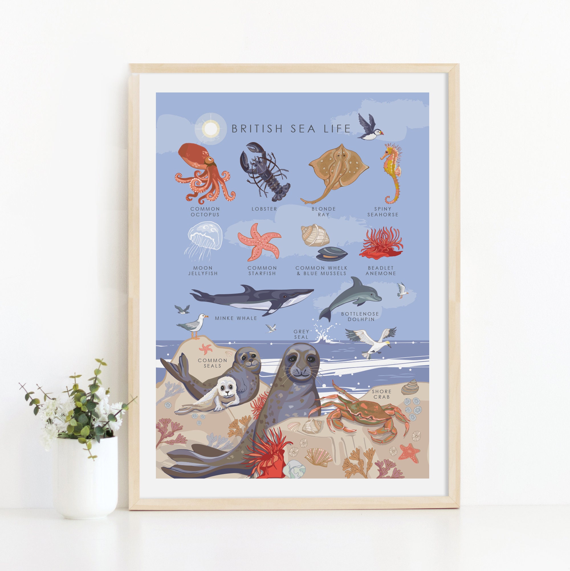 Sea Life Poster, Ocean Life Print, Wildlife Illustration, Nature Guide ...