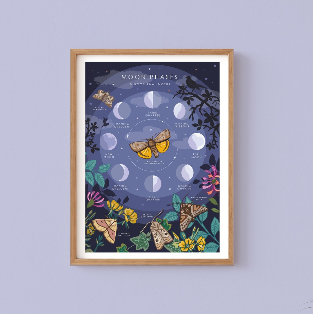 Moon Phases & Moths Art Print: Nature Astrology Guide - Etsy