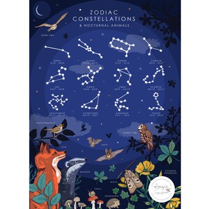 Zodiac Constellations Print, Nocturnal Animals and Astrology Guide Wall ...