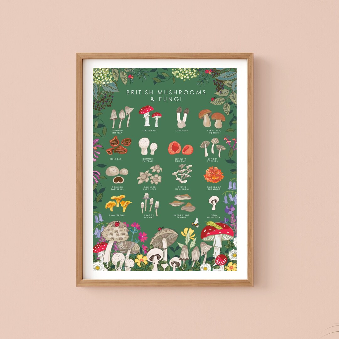 Mushrooms and Fungi Poster, Botanical Wall Art, Nature Guide Print ...