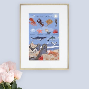 Sea Life Poster Ocean Life Print Wildlife Illustration - Etsy