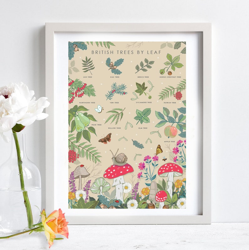 Toadstools & Leaves Print British Trees Nature Poster - Etsy